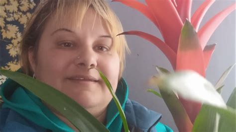 мій ранок Youtube