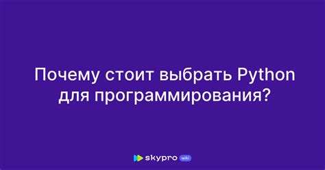 Почему стоит выбрать Python для программирования