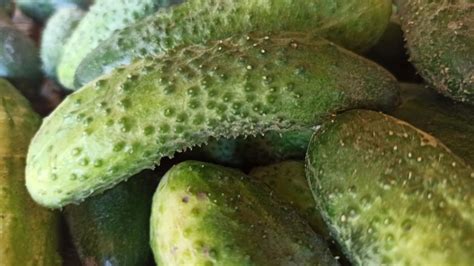 От чего спасут 5 порций овощей и фруктов в день