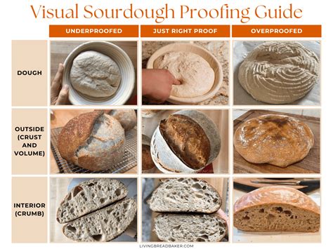 Sourdough Proofing Temperature Chart Wiyoi