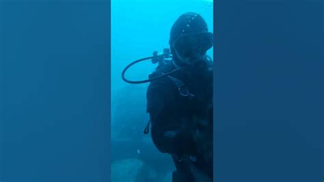 잠수함타고 실제 바다물고기 구경 Youtube