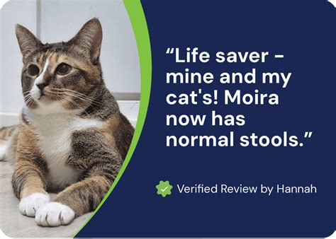 Fecal Microbiota Transplant Animalbiome