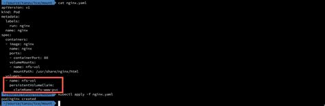 Mounting Nfs To A Container Running On Kubernetes