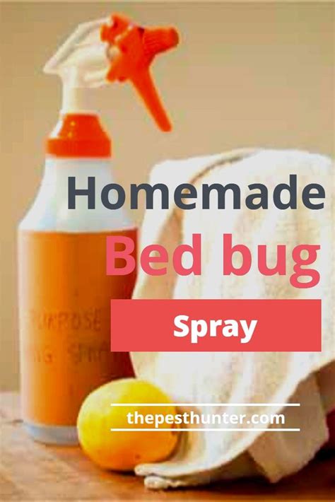 Make Bed Bug Spray Straight From Home Bed Bug Spray Bed Bugs
