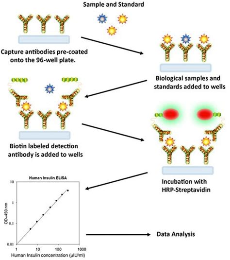 Elisa Blocking Buffer Recipe