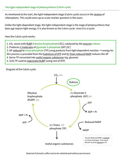 A Aqa A Level Biology Topic 5 Revision Notes Energy Transfers In And Between Organisms