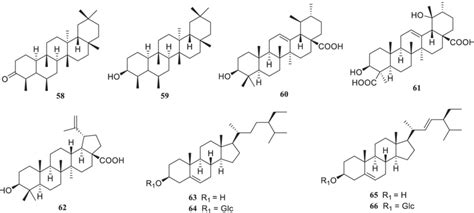 The Structures Of Triterpenoids And Steroids From Tadehagi Triquetrum Download Scientific Diagram
