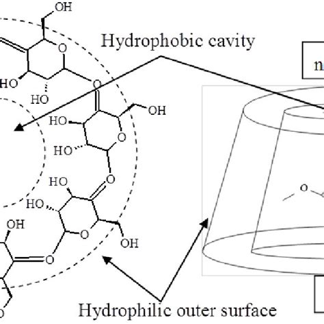 The Structure Of Beta Cyclodextrin β Cd Download Scientific Diagram