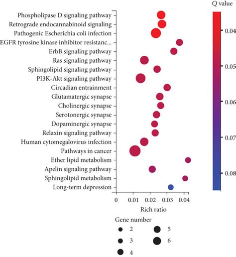 Cch Modulated Mrna Expression In Prefrontal Cortex Of 6 Ohda Lesioned Download Scientific