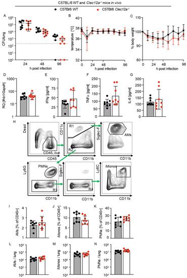 Clec12a Binds To Legionella Pneumophila But Has No Impact On The Hosts