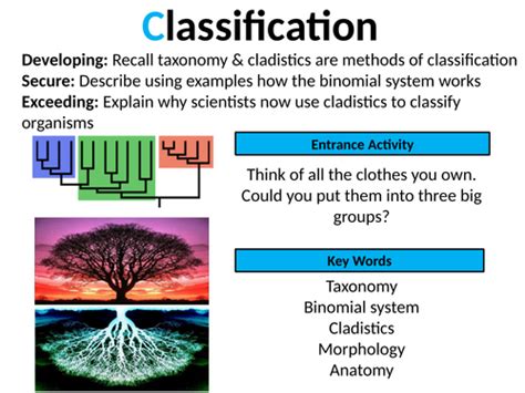 Gcse Biology Classification Lesson 2 Teaching Resources