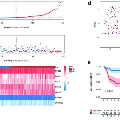 Survival Analysis Of Tcga Training Dataset A Dividing High And Low Download Scientific