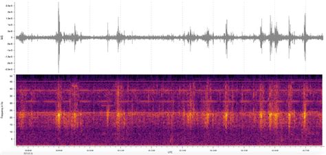 Frequency Plot And Analysis Obspy Forum