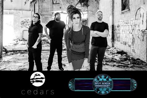 Cedars Sign With Split Screen Management New Album Cowards Out June