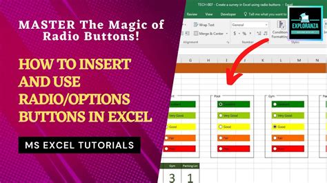 How To Use Radio Buttons In Excel Add Radio Button In Excel Options