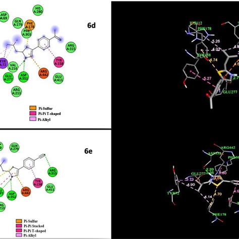 The 2d And 3d Binding Interactions Of The 6h And 6i Within The Active