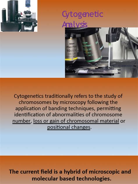 2cytogenetics L2 Pdf Cytogenetics Chromosome
