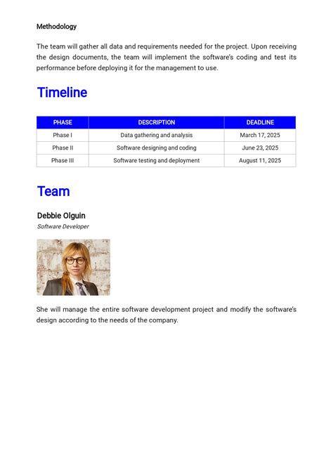 Simple IT Software Plan Template Google Docs Word Apple Pages PDF Template Net