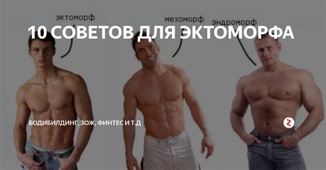 Обзор наиболее популярных гейнеров для эктоморфа со всеми достоинствами и недостатками самые