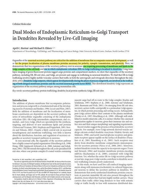 Golgi Outposts And Satellites In Neurons 2 Dual Modes Of