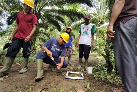 Tingkatkan Hasil Produksi Lewat Regeneratif Agriculture