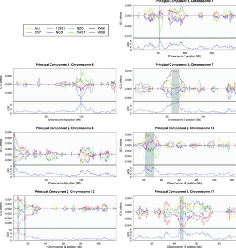 Lod Scores And Founder Coefficients Blup Effects And Lod Panels For