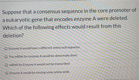 Solved What Would Be The Sequence That The RNA Polymerase Chegg Com