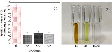 A Specific Activity Of Polyphenol Oxidase Ppo In Different Sbls Download Scientific