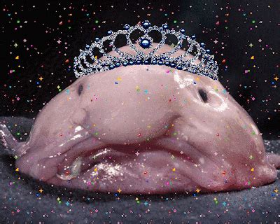 Champagnemanagement Tumblr Com Tumbex