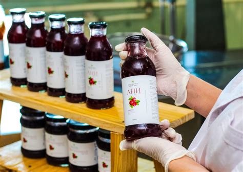 Монголын зэрлэг жимс гадаадын зах зээлд өрсөлдөх боломж бий