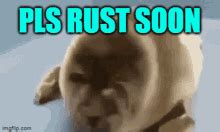 Rust PFP Rust Profile Pics