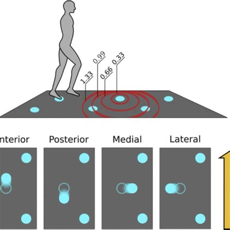 planned orthogonal contrasts for stepping error analysis unlike download scientific diagram