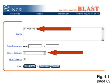 Ppt Blast Basic Local Alignment Search Tool Powerpoint Presentation