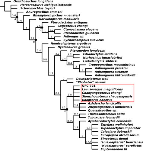 Strict Consensus Tree Of Four Most Parsimonious Trees Recovered From