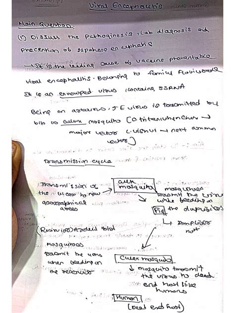 Viral Encephalitis Pdf