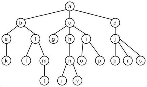 树状数据结构（案例研究）