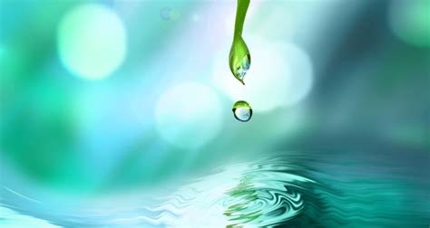 Nature S Secrets Revealed OMTimes Magazine
