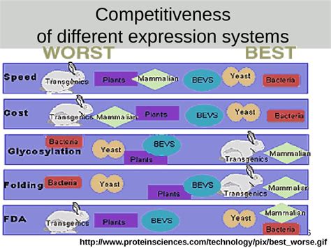 1 Gene Expression Systems In Prokaryotes And Eukaryotes
