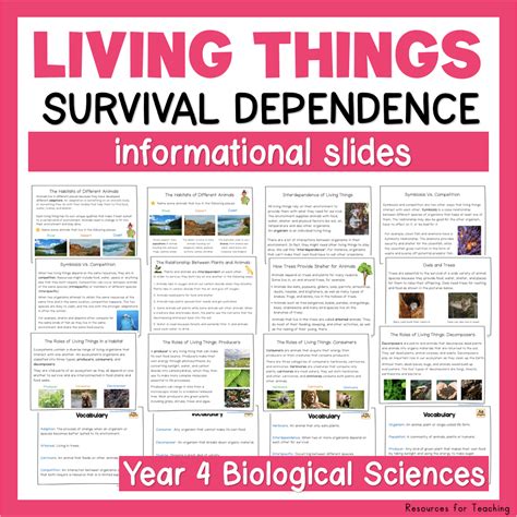 How Living Things Depend On Each Other And The Environment Resources