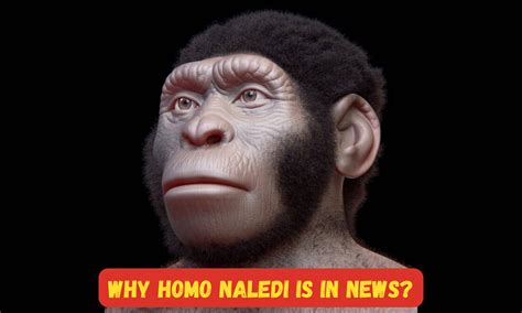 Why Homo Naledi Is In News Know About Homo Naledi