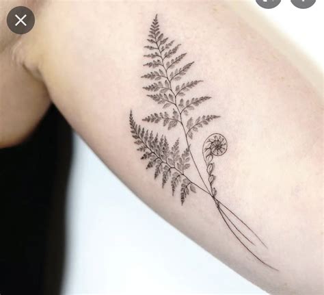 Pin Van Q U I N Op Tattoo Tatoeage Inspiratie Tatoeage Ideeën Tatoeage