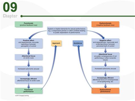 Sexual And Gender Identity Disorders Ppt Download