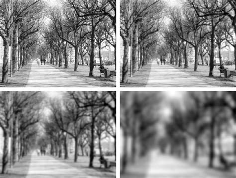 Figure 1 From Scale Space Semantic Scholar