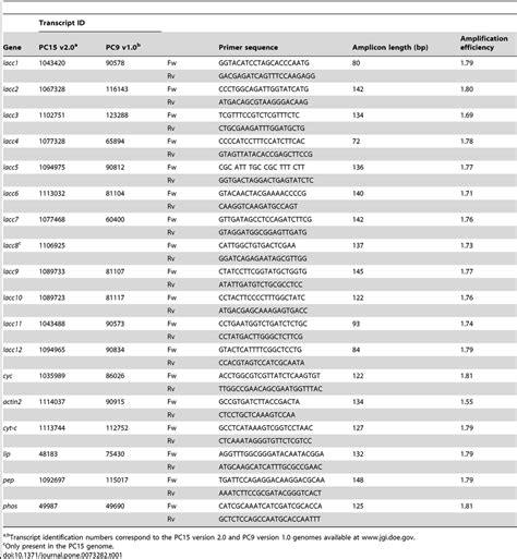Pcr Primers Amplicon Length And Amplification Efficiency Of The