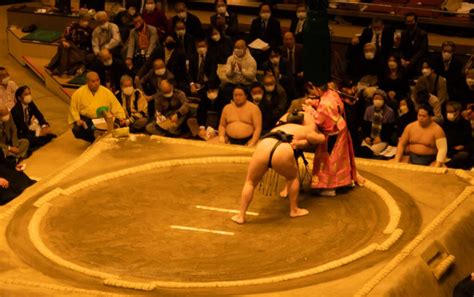 Tokyo Sumo And Sumo Tickets A Full Guide