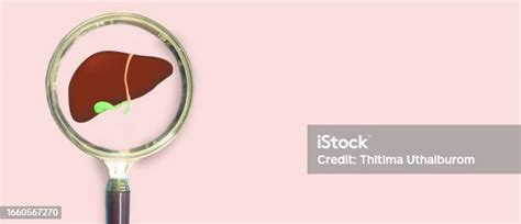 돋보기 초점 관리 검진 간 건강 치료 간암 암 기증 간 질병 기증 간염 간경변 B 형 간염 바이러스 Hbv 백신 보험 병원 세계 간염의 날 0명에 대한 스톡 사진 및 기타