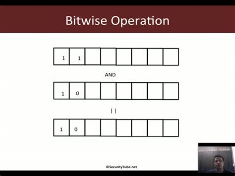 Control Instructions X86 Assembly Language And Shellcoding On Linux