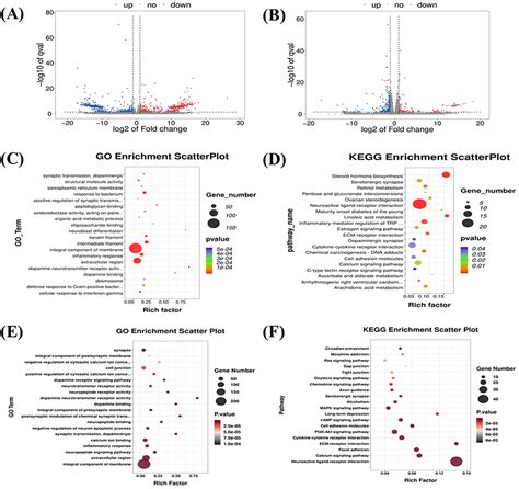 Synaptic Structure And Transcriptomic Profiling Of Reward And Sensory Sar