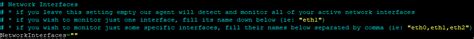 Misconfigured Network Interface Name HetrixTools
