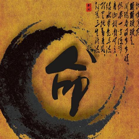 来吧跳舞吧 歌词 歌词网